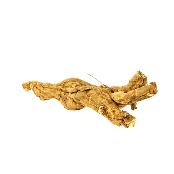 Mandrake (mandragora officinarum)