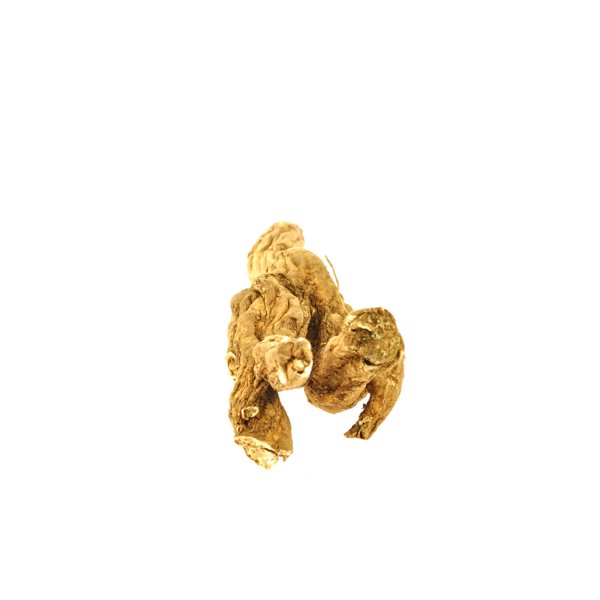 Mandrake (mandragora officinarum)