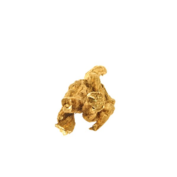 Mandrake (mandragora officinarum)
