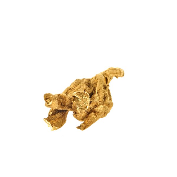 Mandrake (mandragora officinarum)