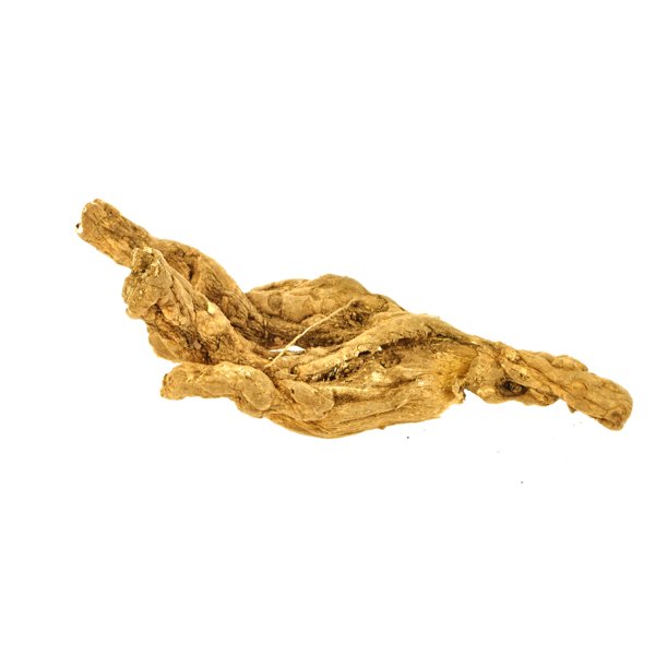 Mandrake (mandragora officinarum)
