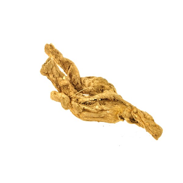 Mandrake (mandragora officinarum)