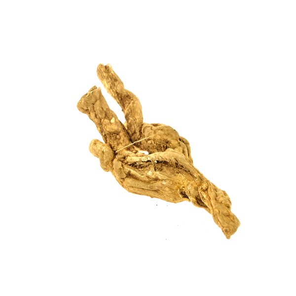 Mandrake (mandragora officinarum)