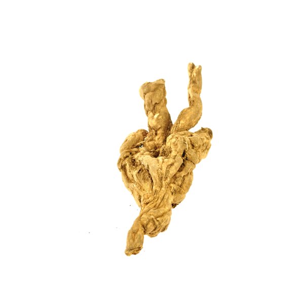 Mandrake (mandragora officinarum)