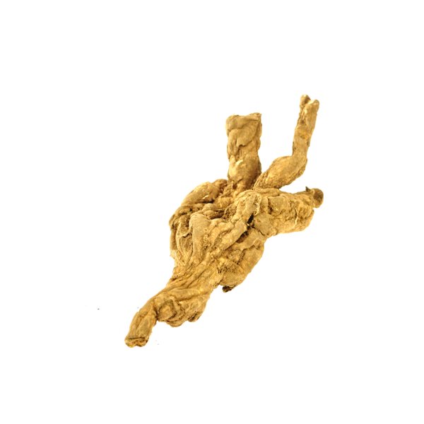 Mandrake (mandragora officinarum)