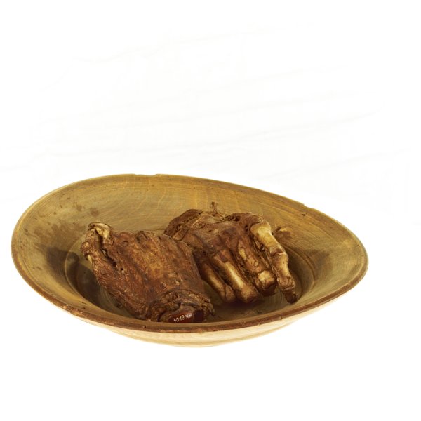 Dead hands (body symbol) in a turned wooden bowl from St. George, Wismar