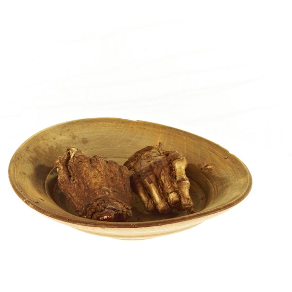 Dead hands (body symbol) in a turned wooden bowl from St. George, Wismar