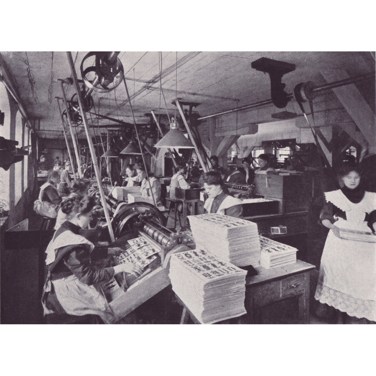 Card factory, daily routine