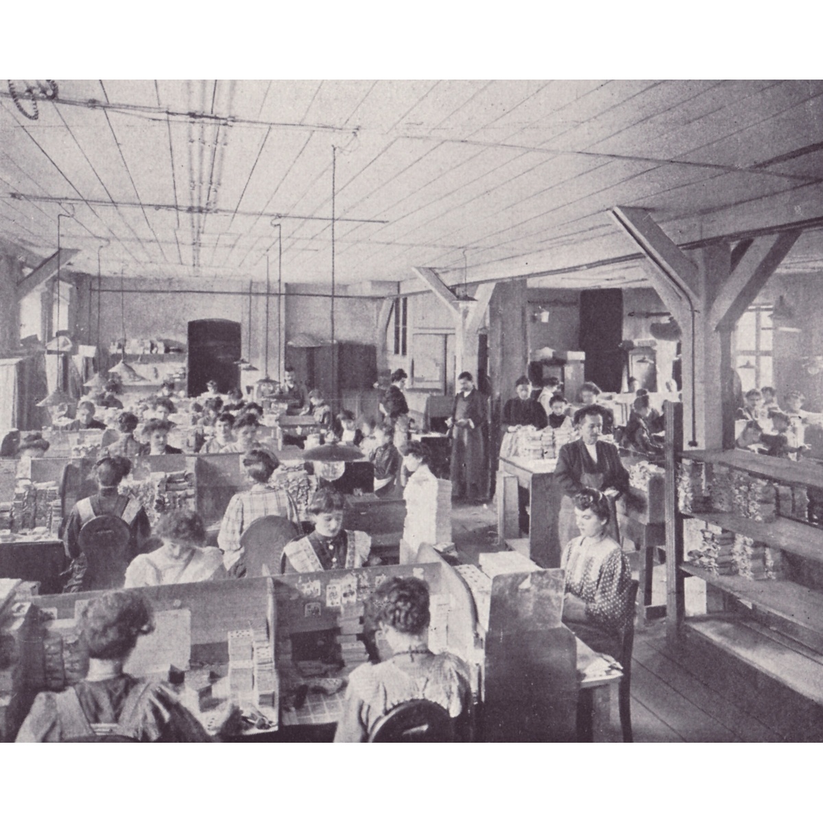 Card factory, daily routine